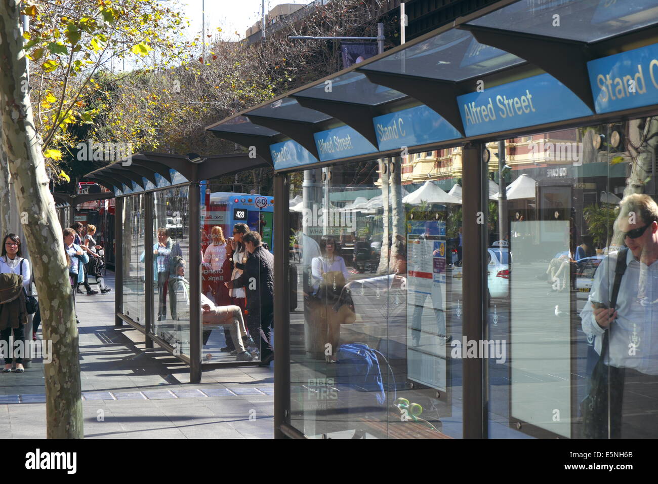 bus stop at sydney's circular quay Stock Photo - Alamy