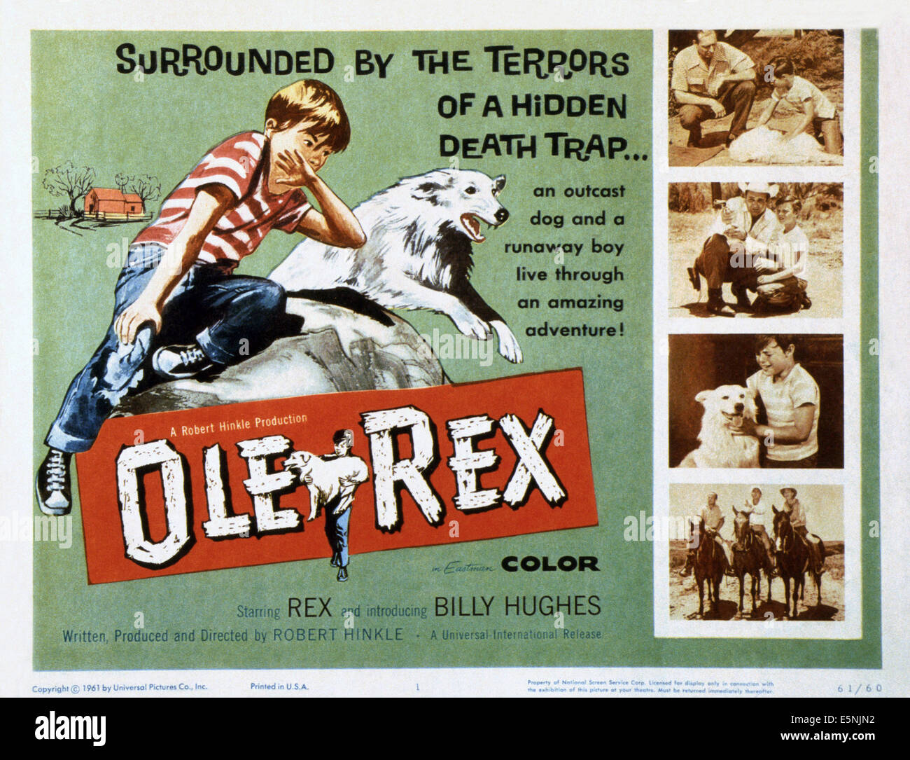OLE REX, US lobbycard, Billy Hughes, Rex the dog, 1961 Stock Photo - Alamy