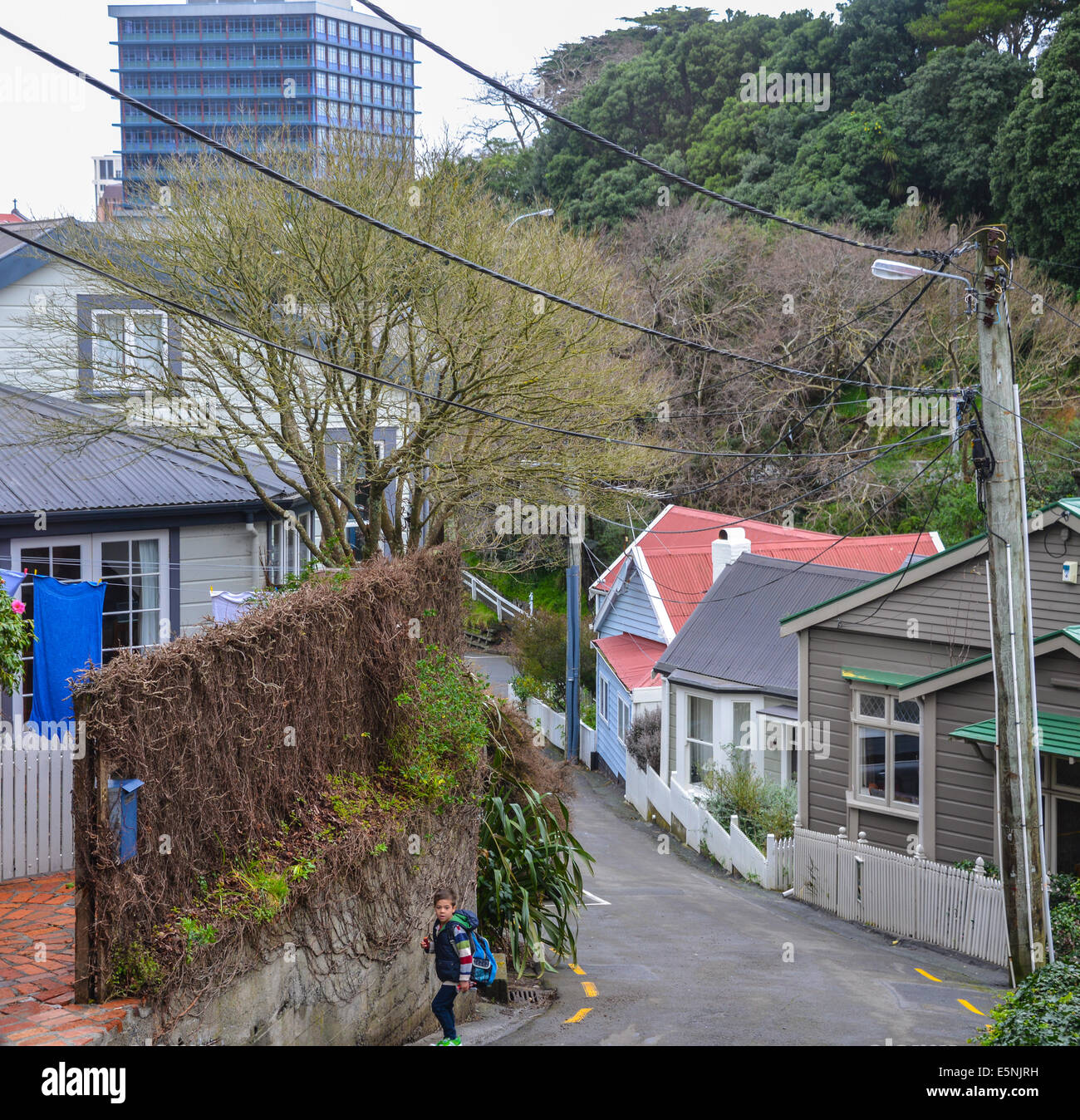 Ascot Street Wellington steep hill residential area of wellington new ...