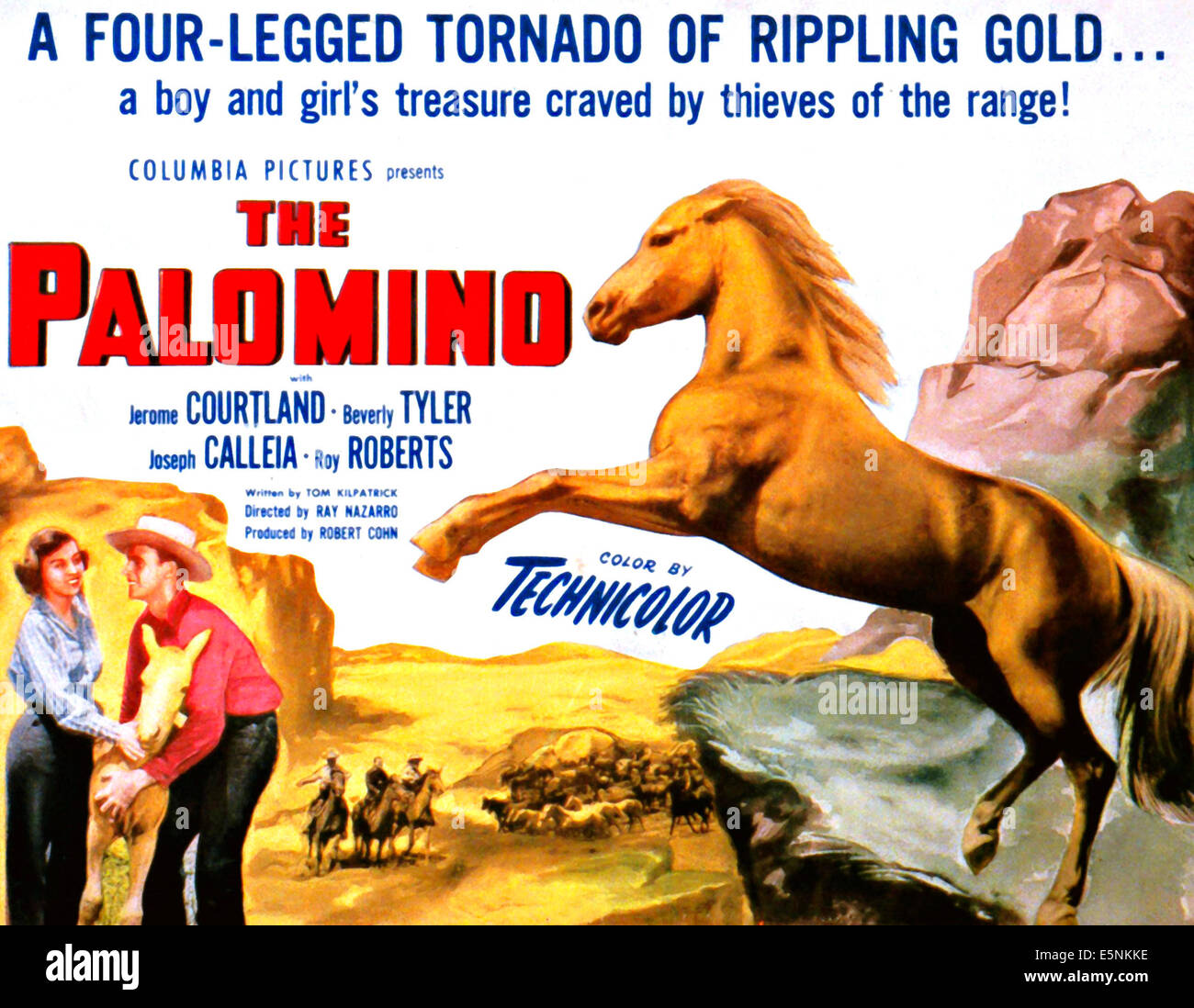 Rearing horse palomino hi-res stock photography and images - Alamy
