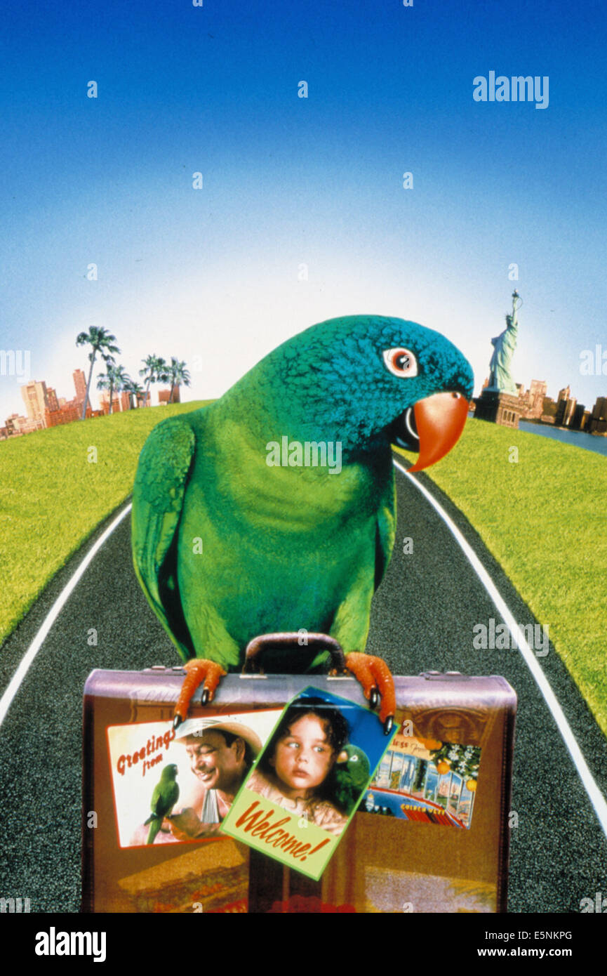 Polly Parrot Movie