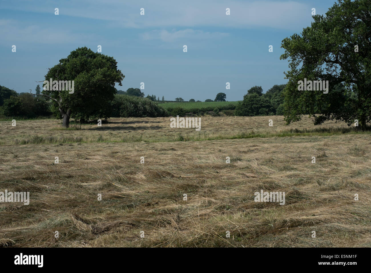 Farmland and hay meadow Stock Photo - Alamy