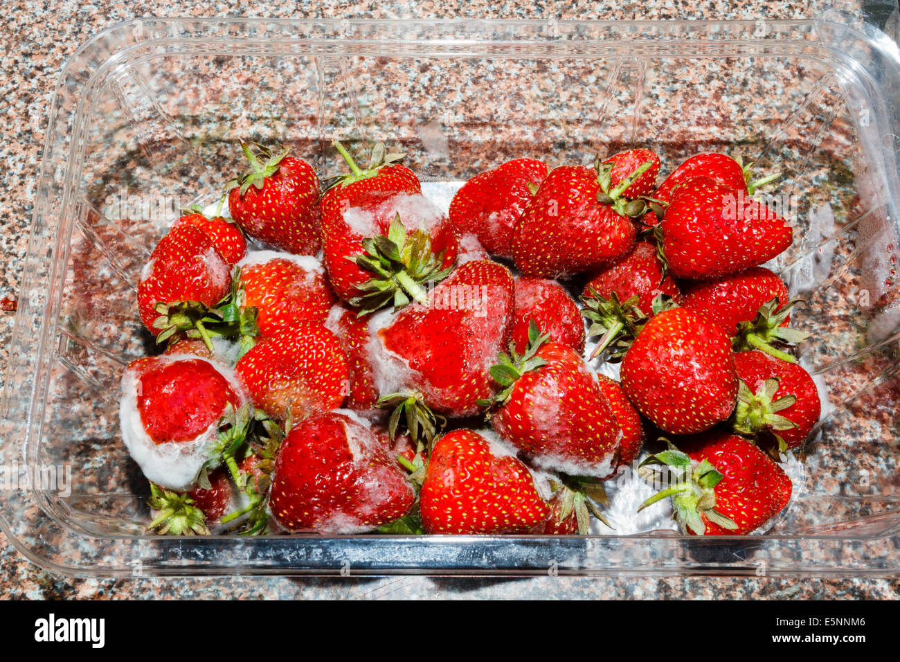 Mouldy fruit hi-res stock photography and images - Alamy