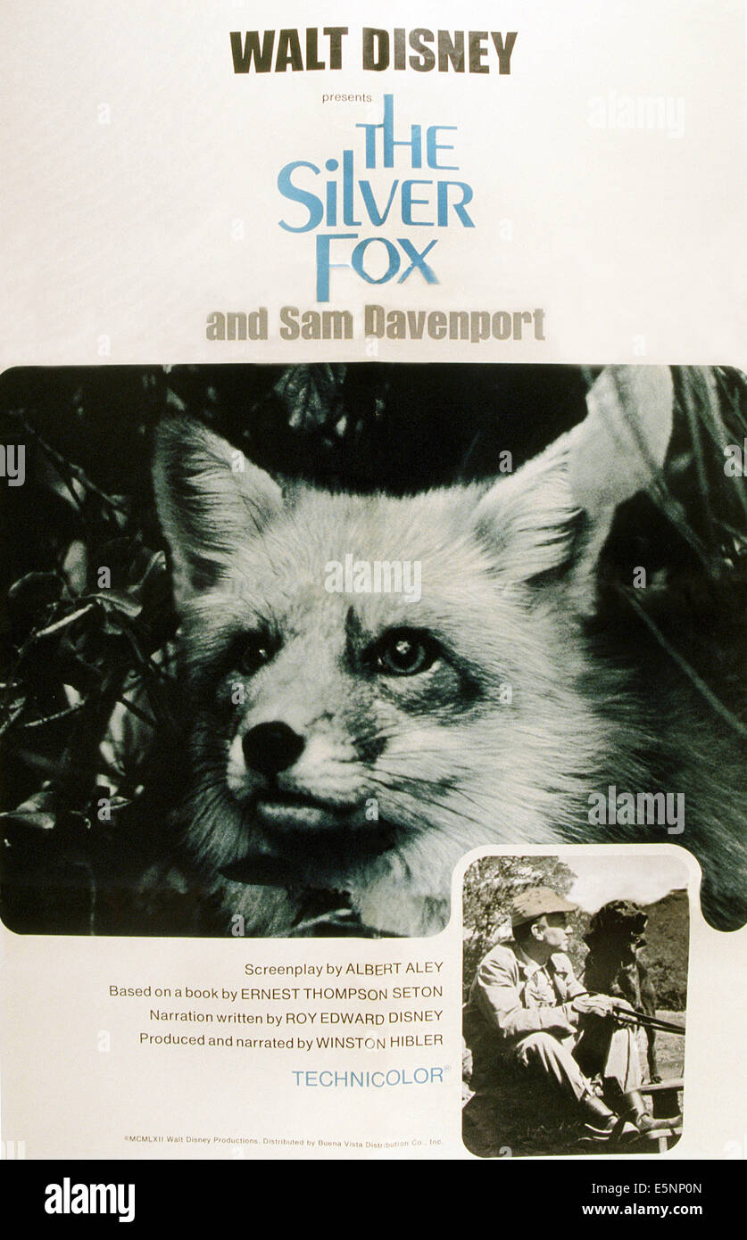 THE SILVER FOX AND SAM DAVENPORT, US poster, 1962 Stock Photo - Alamy