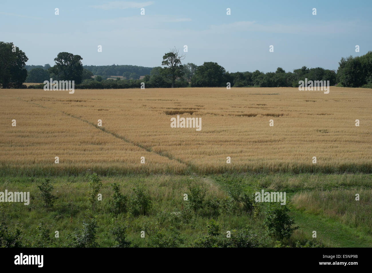 Countrysides, hay meadow Stock Photo - Alamy