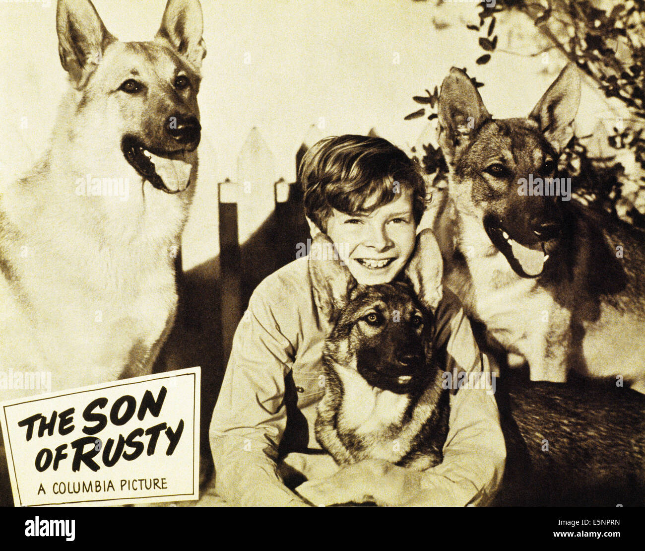 THE SON OF RUSTY, Ted Donaldson, 1947 Stock Photo - Alamy