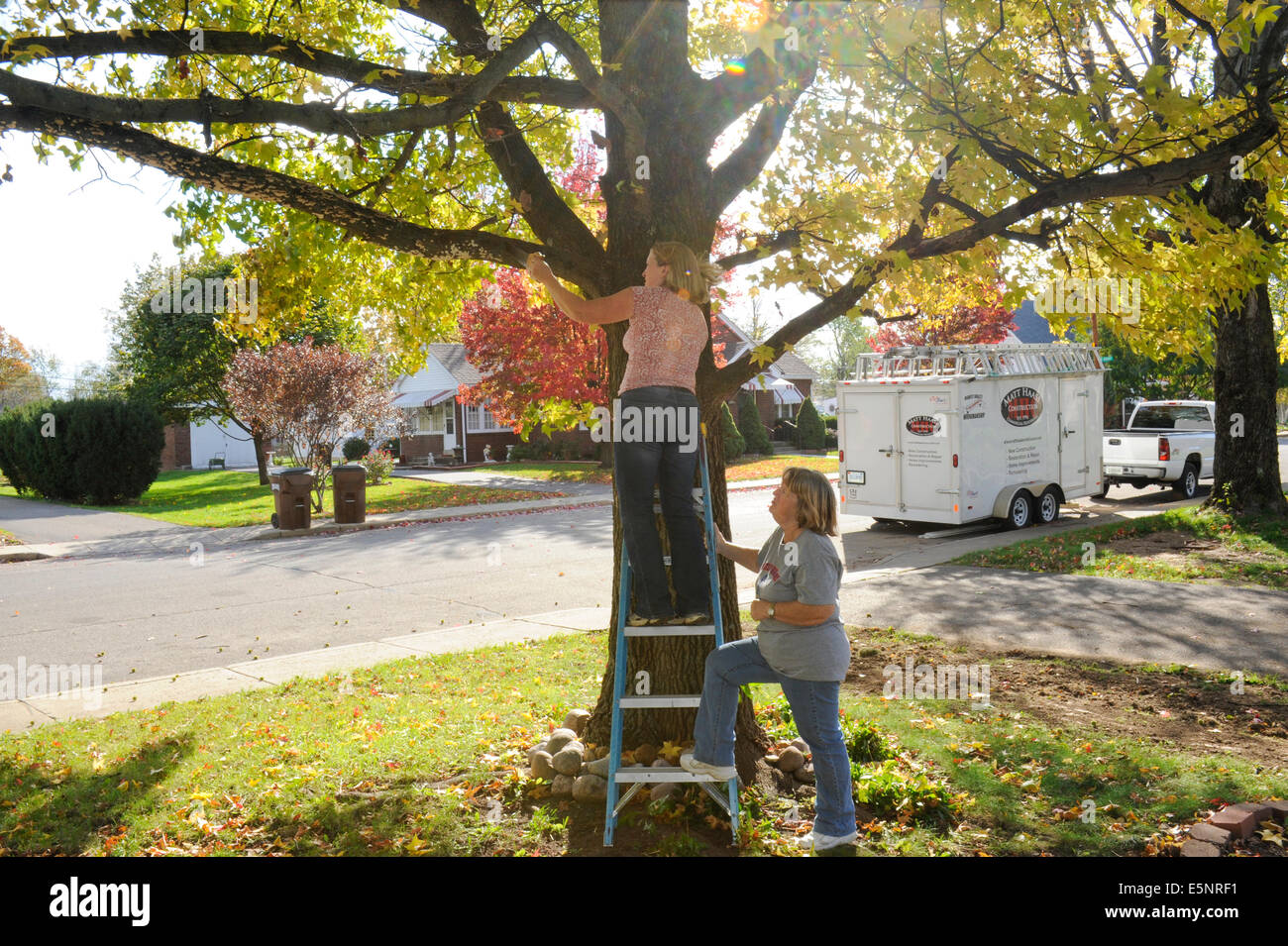 Two middle aged sisters cutting tree branches in front yard Stock Photo ...