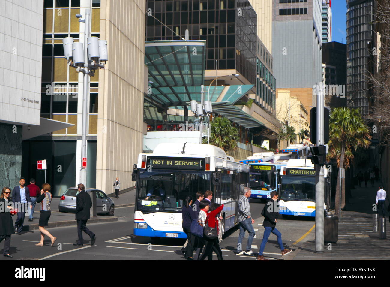 Sydney buses at Circular quay,Sydney,Australia Stock Photo - Alamy