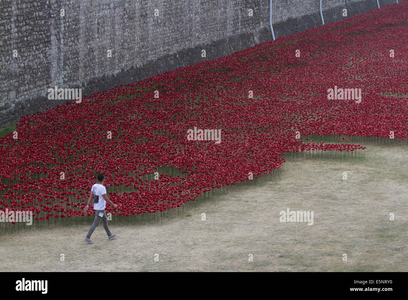 War declaration 1914 britain hi-res stock photography and images - Alamy