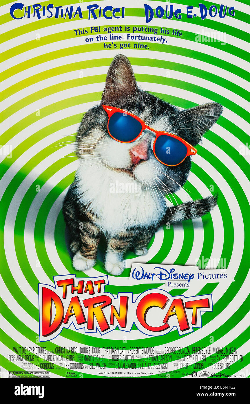 Another Darn Cat Wallpaper That Darn Cat!' Is A Delightful Return To