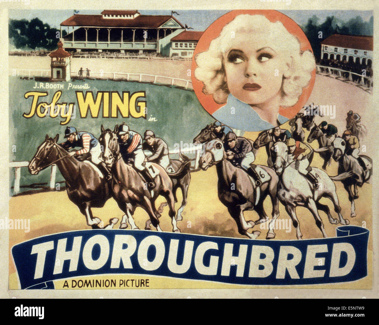 Toby wing hi-res stock photography and images - Alamy