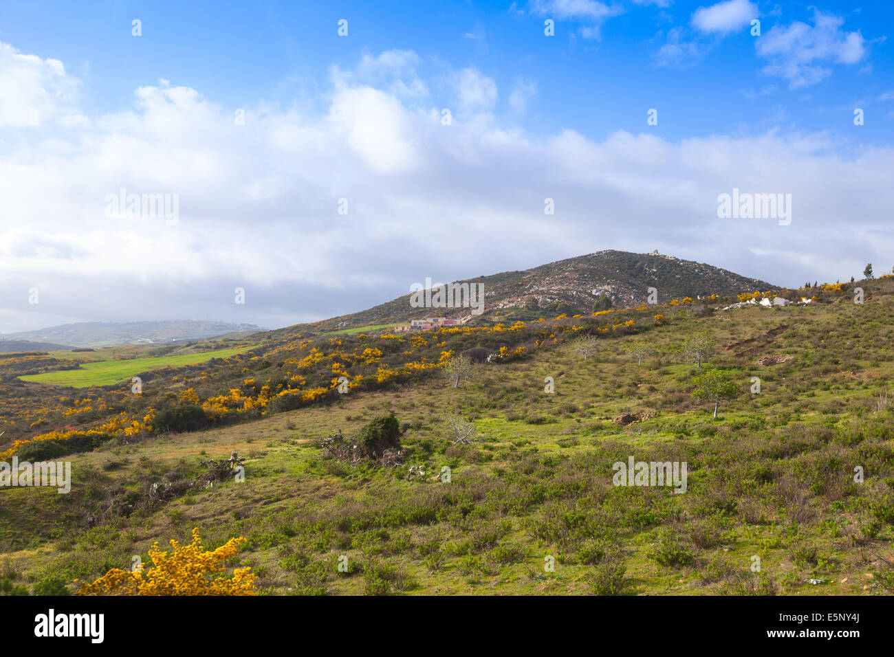 Summer landscape, mountains in Tangier region, Morocco Stock Photo - Alamy
