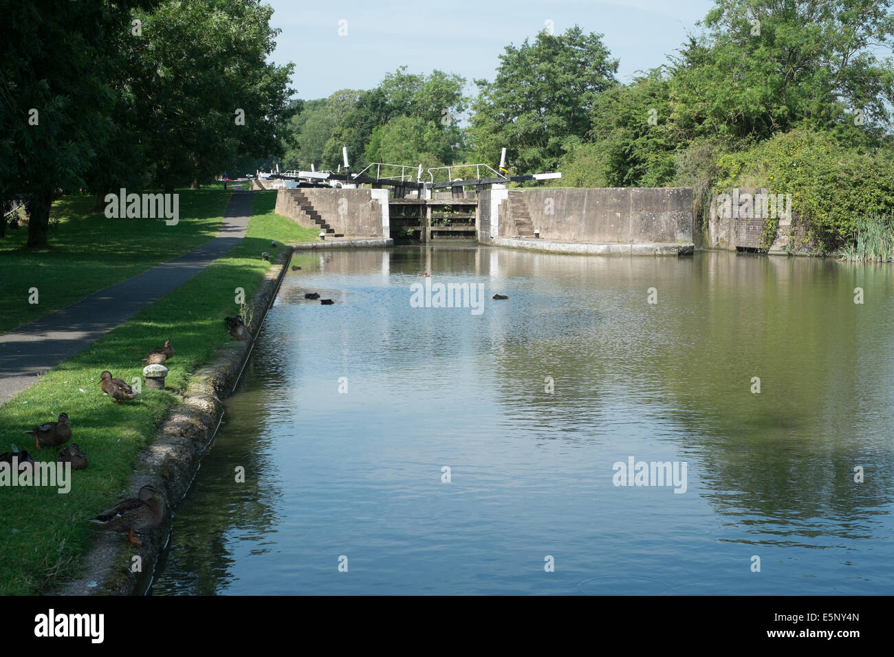 Canal and lock gates Stock Photo - Alamy