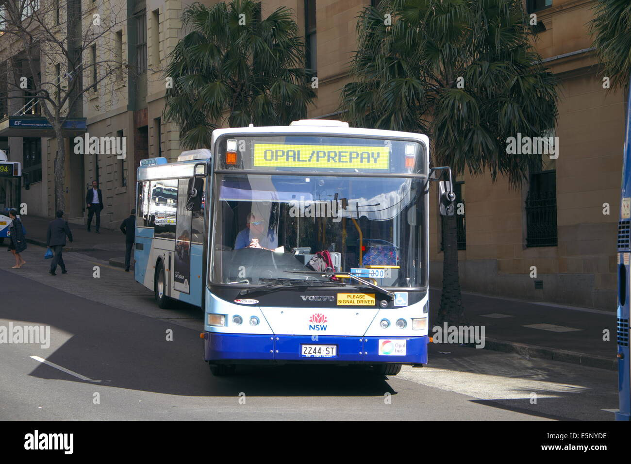 Sydney bus public transport hi-res stock photography and images - Alamy