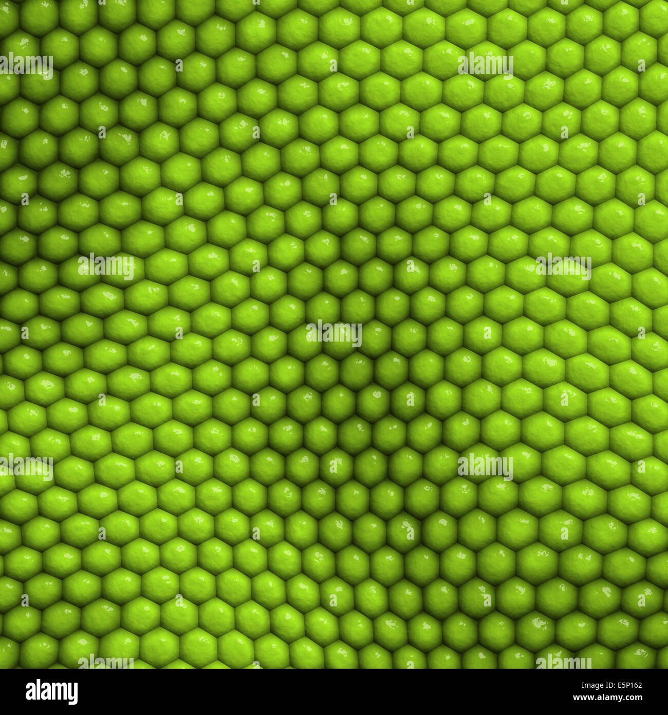 Reptile skin texture background abstract for design and decorate Stock ...