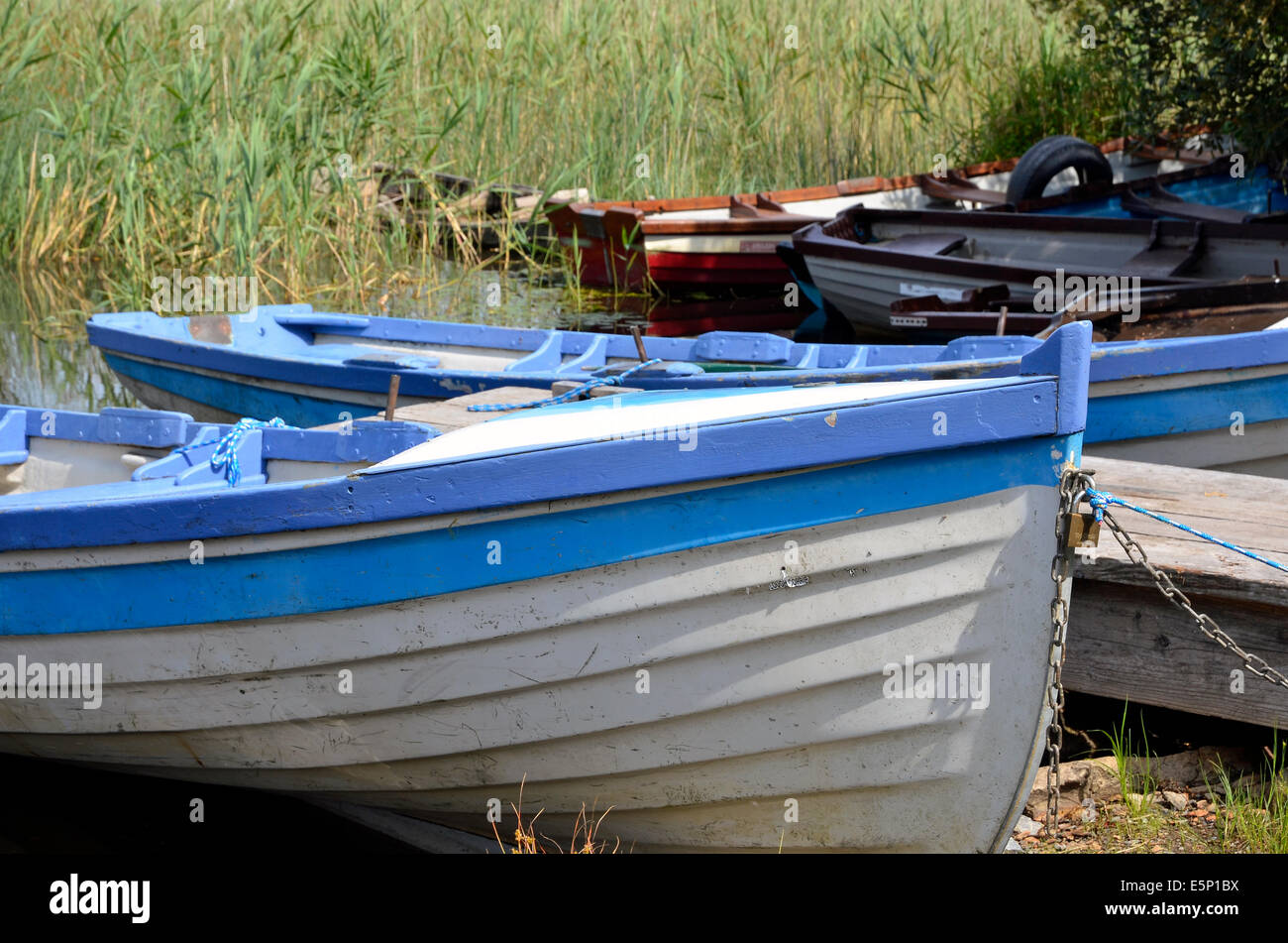Blue white rowing boats on hi-res stock photography and images - Alamy