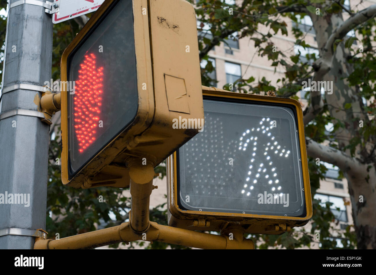 A walk light sign at a cross walk in New York City Stock Photo - Alamy