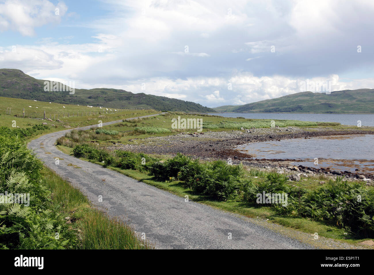 Loch Spelve, Isle of Mull, Scotland, July 2014 Stock Photo - Alamy