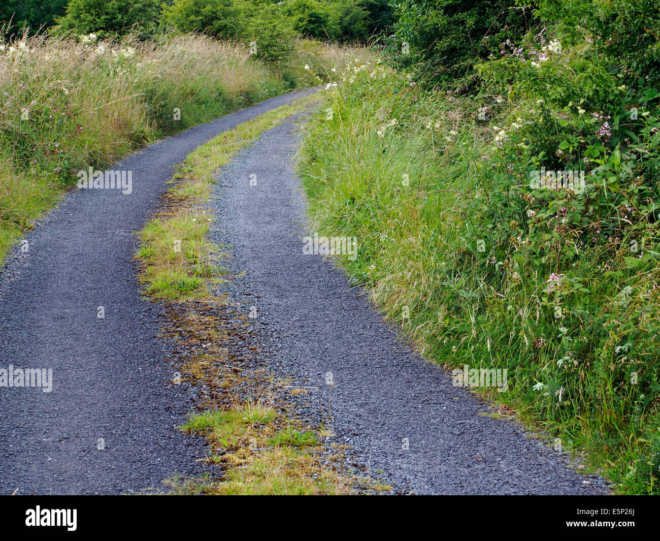 Long rural lane hi-res stock photography and images - Alamy