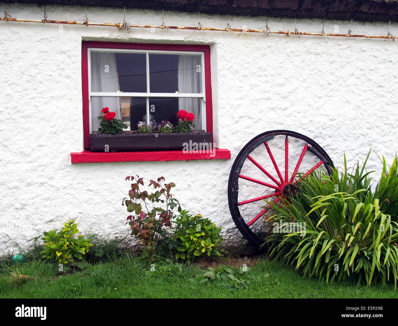 Exterior of a traditional Irish cottage with red painted window and and ...