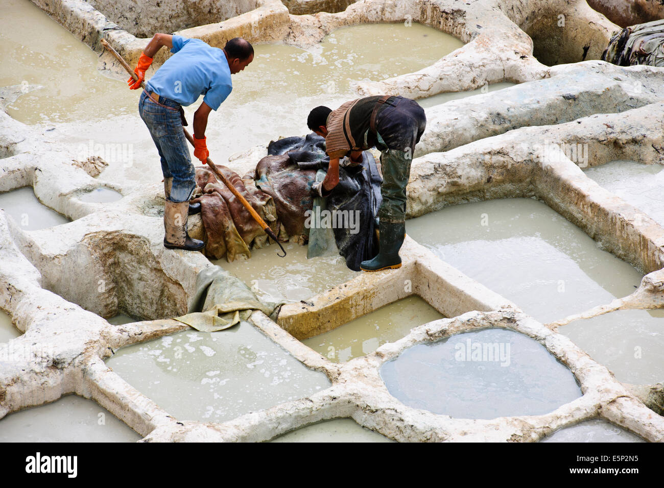 Fes leather district dying pits shops skins selling manner hi-res stock ...