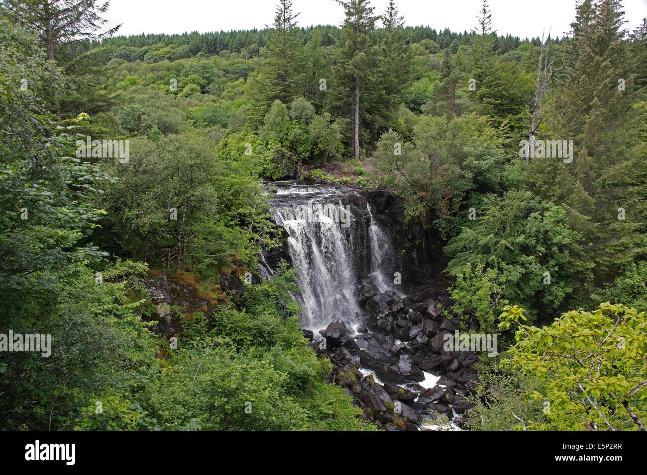 Aros Park near Tobermory, Isle of Mull, Scotland Stock Photo - Alamy
