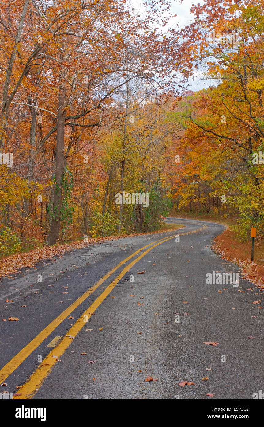 Scenic two lane road with curves in the fall, Autumn Stock Photo - Alamy