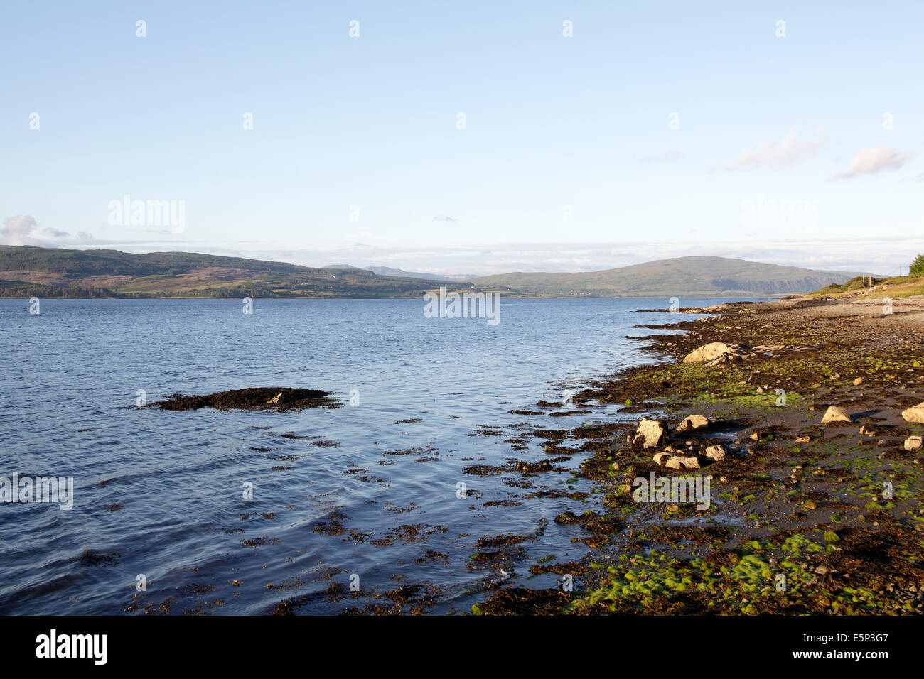 Evening sunlight over The Sound of Mull, Isle of Mull, Scotland, July ...