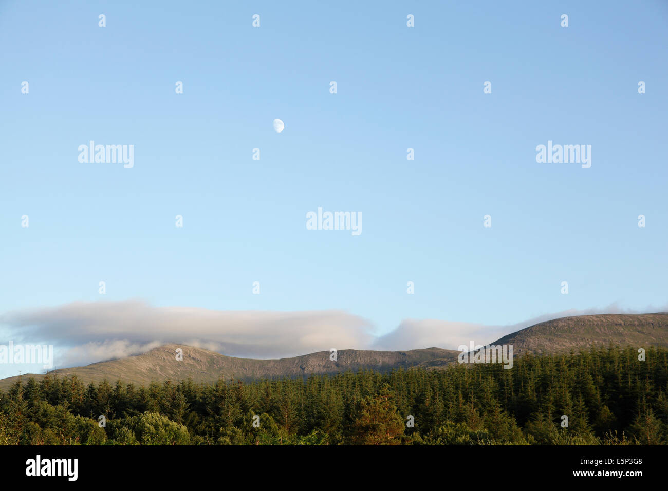 Fishnish hi-res stock photography and images - Alamy