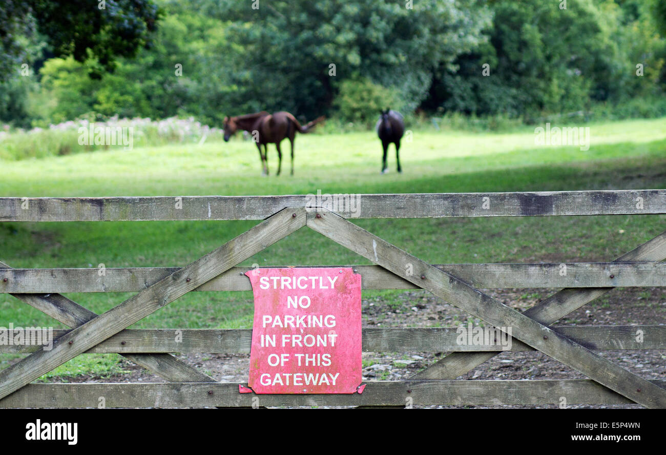 Pony gate hi-res stock photography and images - Alamy