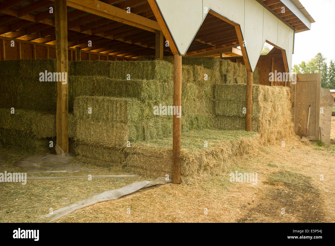 Storage Shed Hay at Kenneth Bray blog