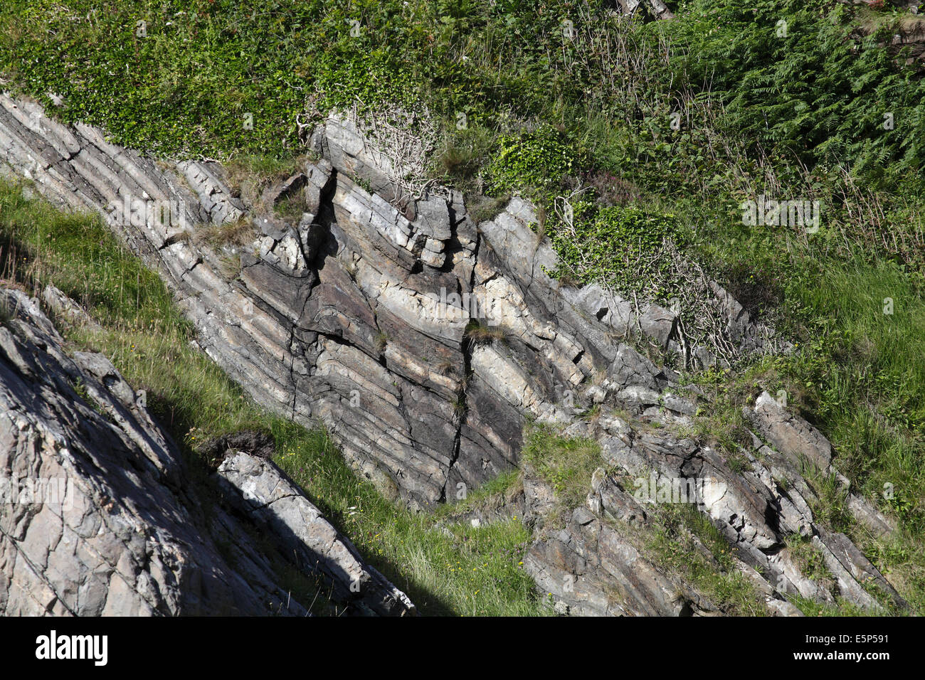 Folded sedimentary rock layers on Ardalanish Beach on the Ross of Mull ...