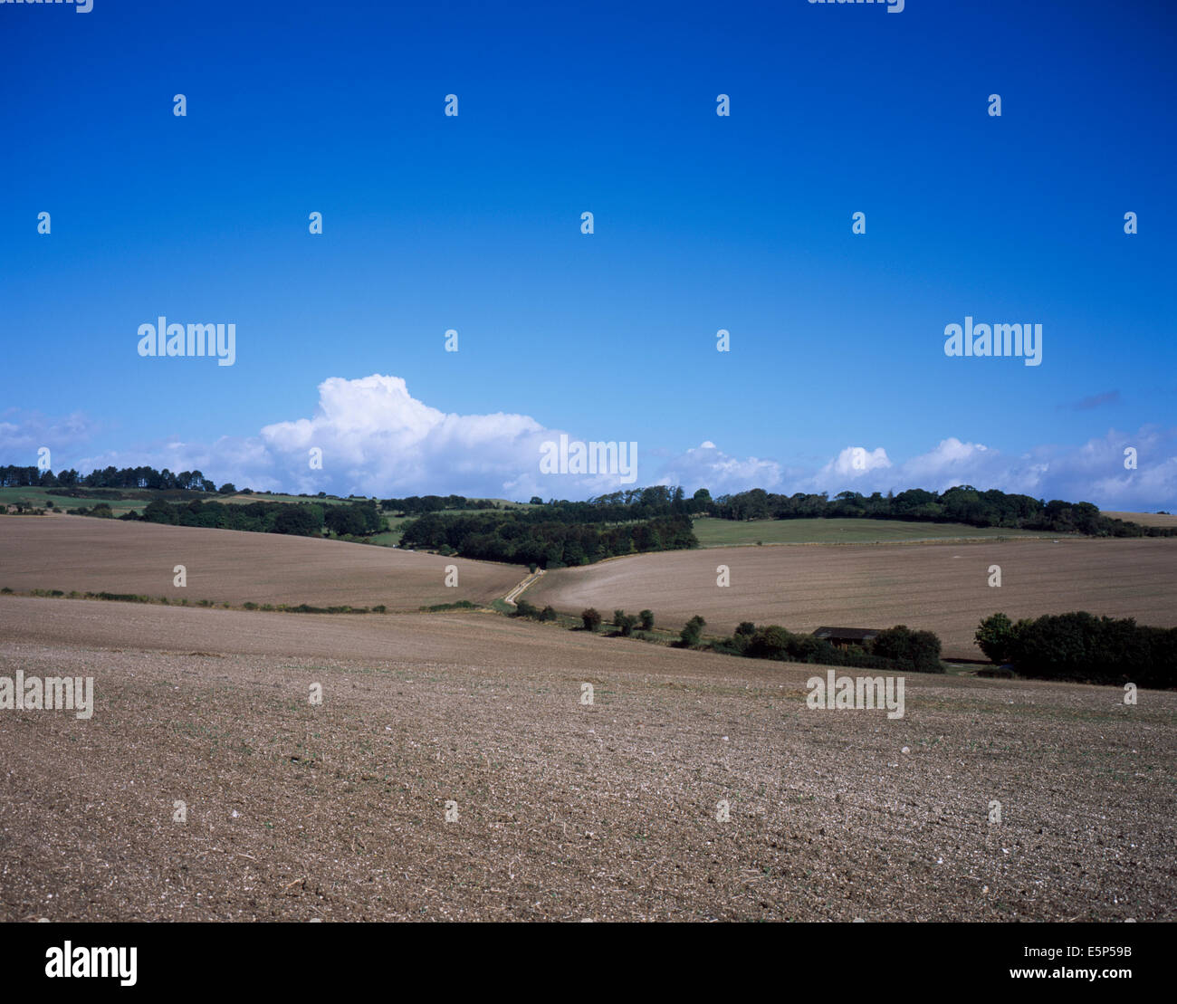View across downland toward Crockton Hill and Martin Wood near the ...