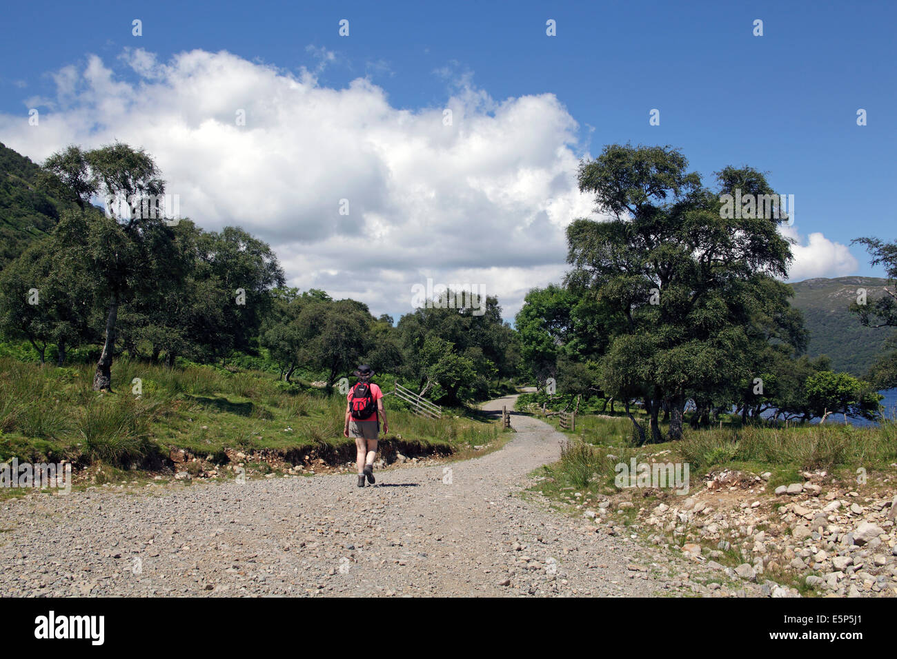 Hiker on the shores of Loch Ba, Isle of Mull, Scotland, July 2014 Stock ...