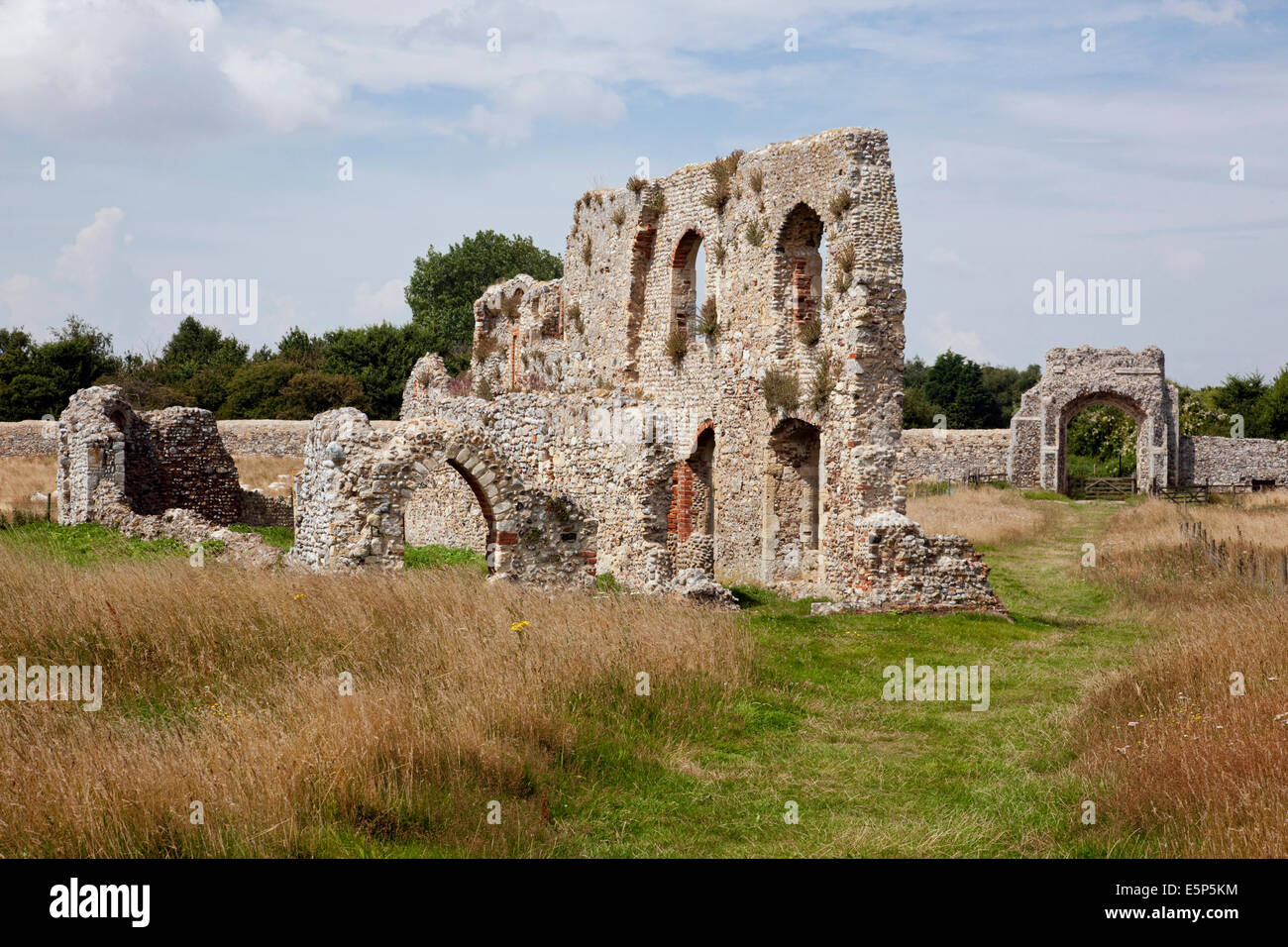 Ruins of Greyfriars friary at Dunwich, Suffolk Stock Photo - Alamy