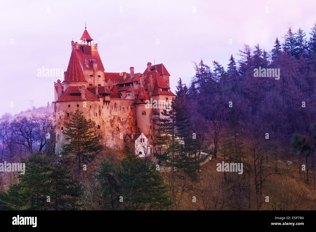 Transylvania dracula bran castle night hi-res stock photography and ...