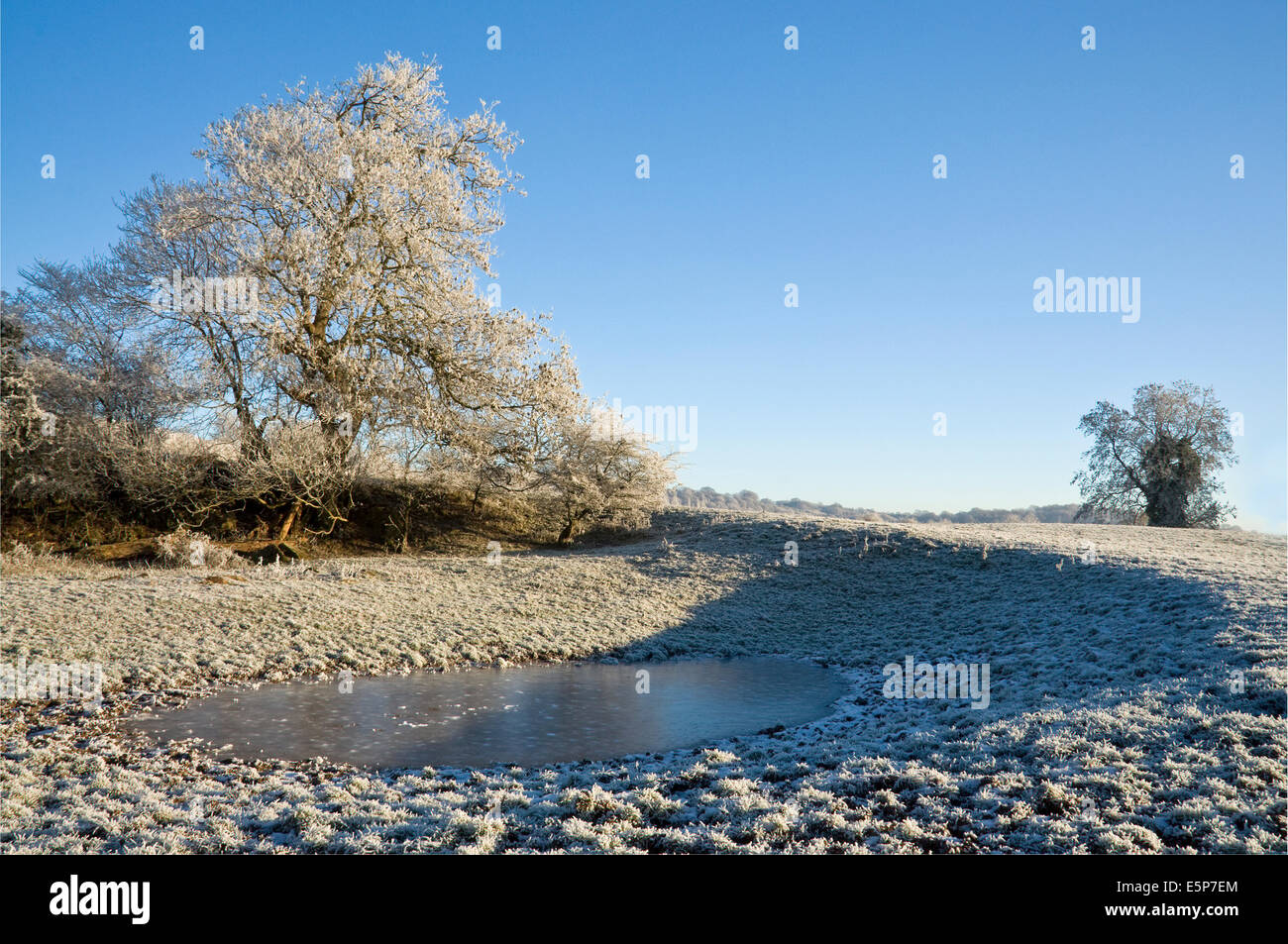 Landscape winter scene of frozen pond and trees Stock Photo - Alamy