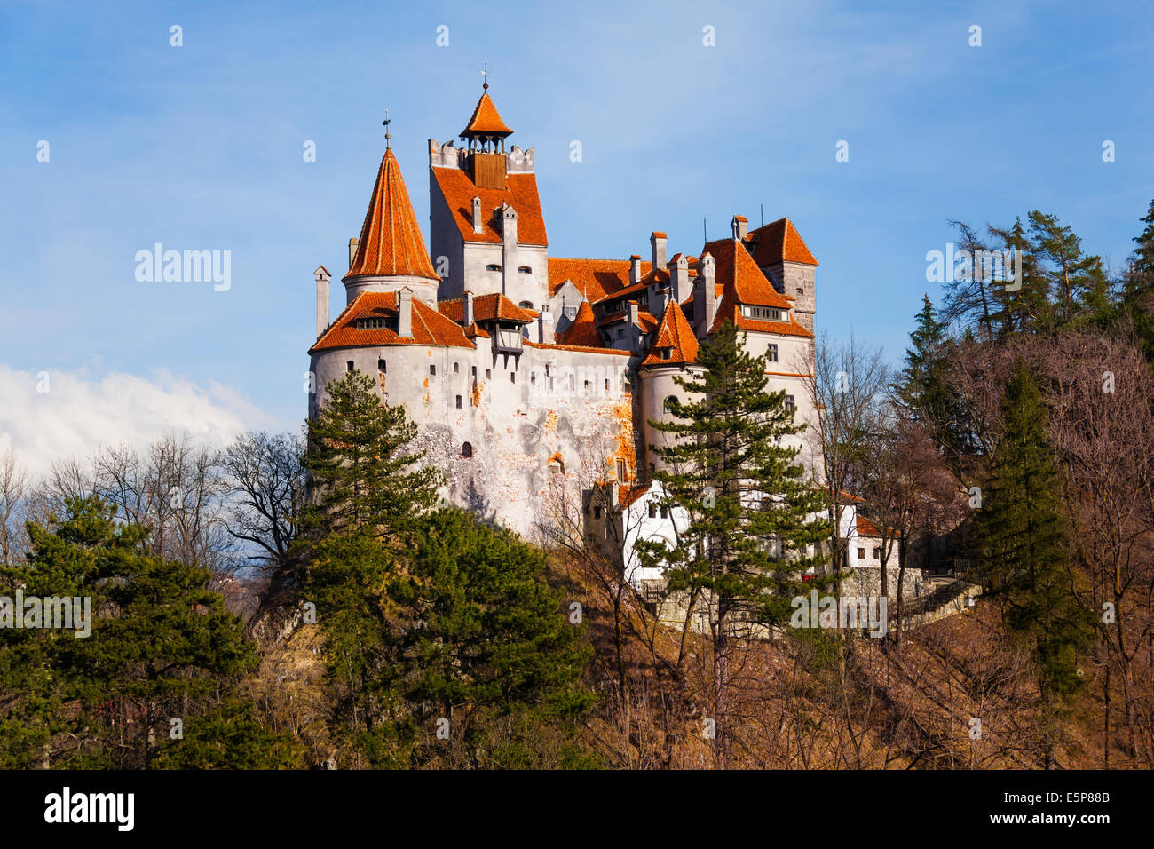 Bran Castle Romania Trees
