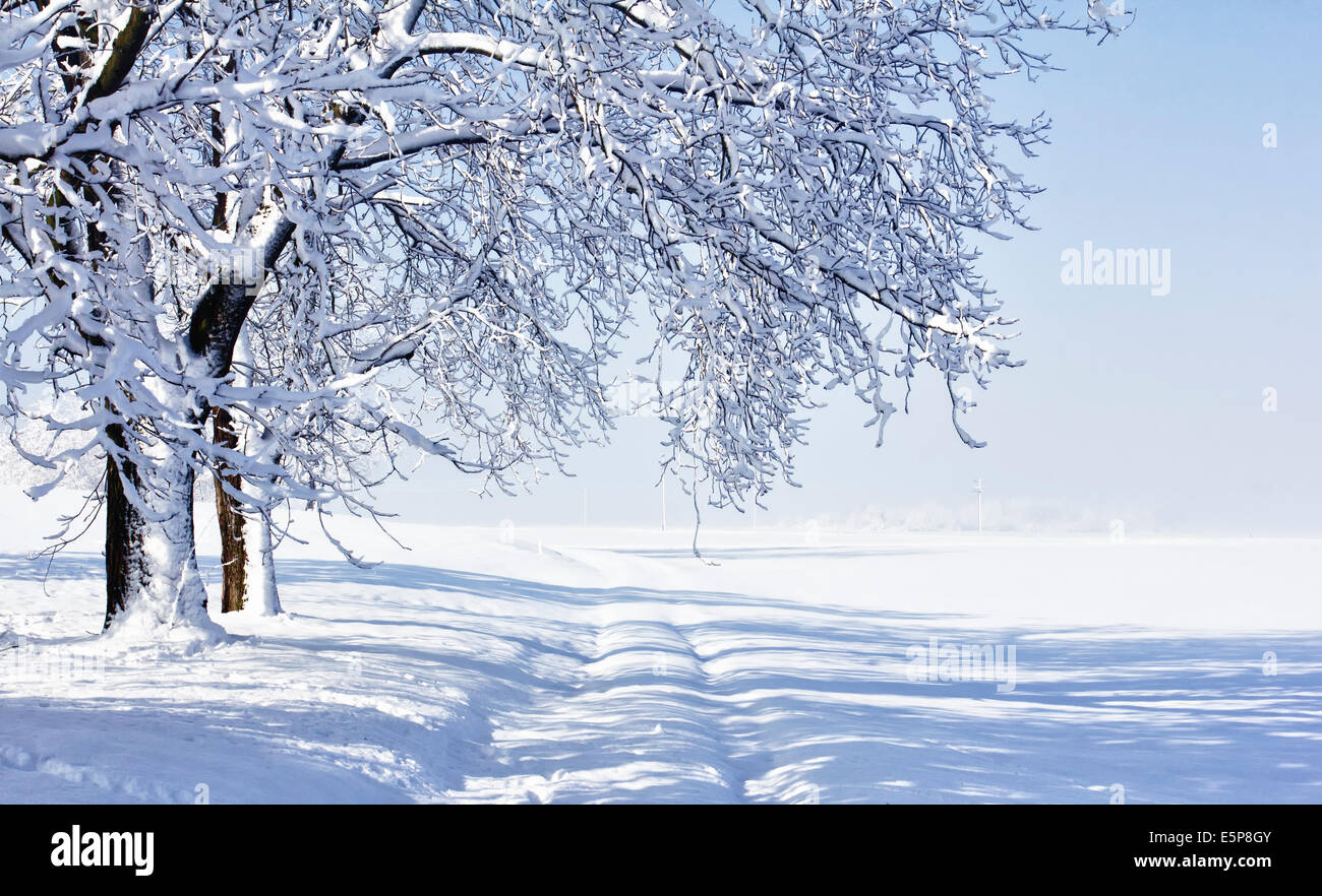 Morning snow landscape hi-res stock photography and images - Alamy