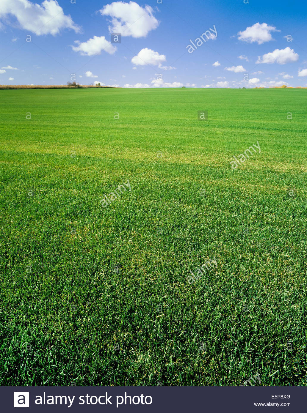 Perfect Field High Resolution Stock Photography and Images - Alamy