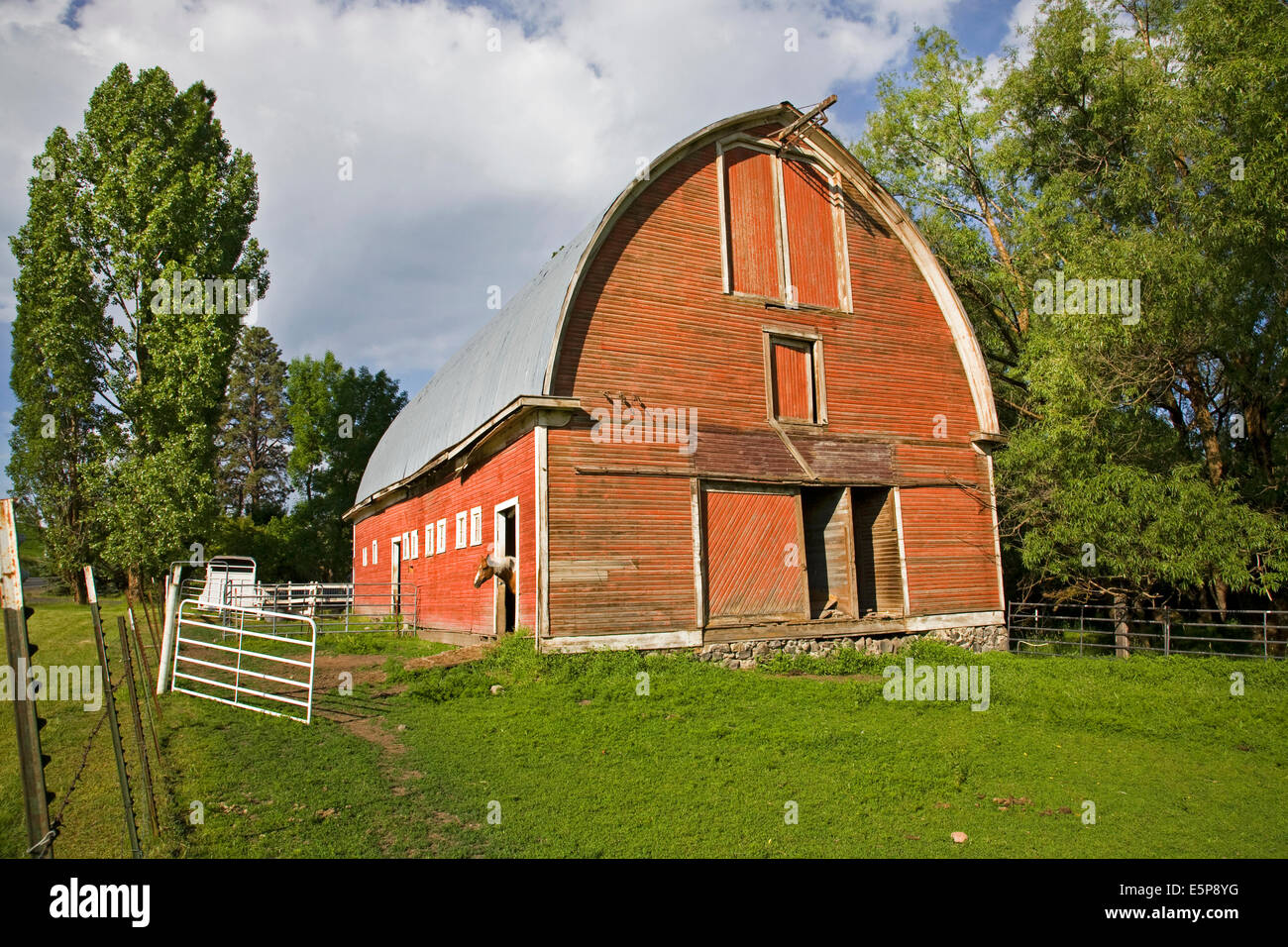 A farm in the remote Palouse Empire region, a farming and wheat growing ...
