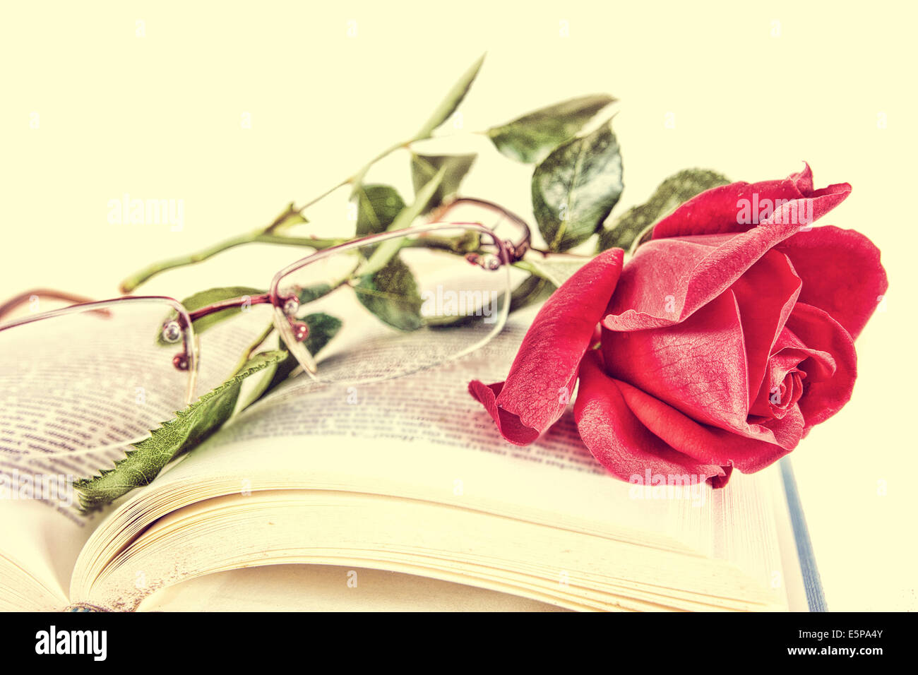 Open book and red rose with glasses on pages of book, romantic vintage ...