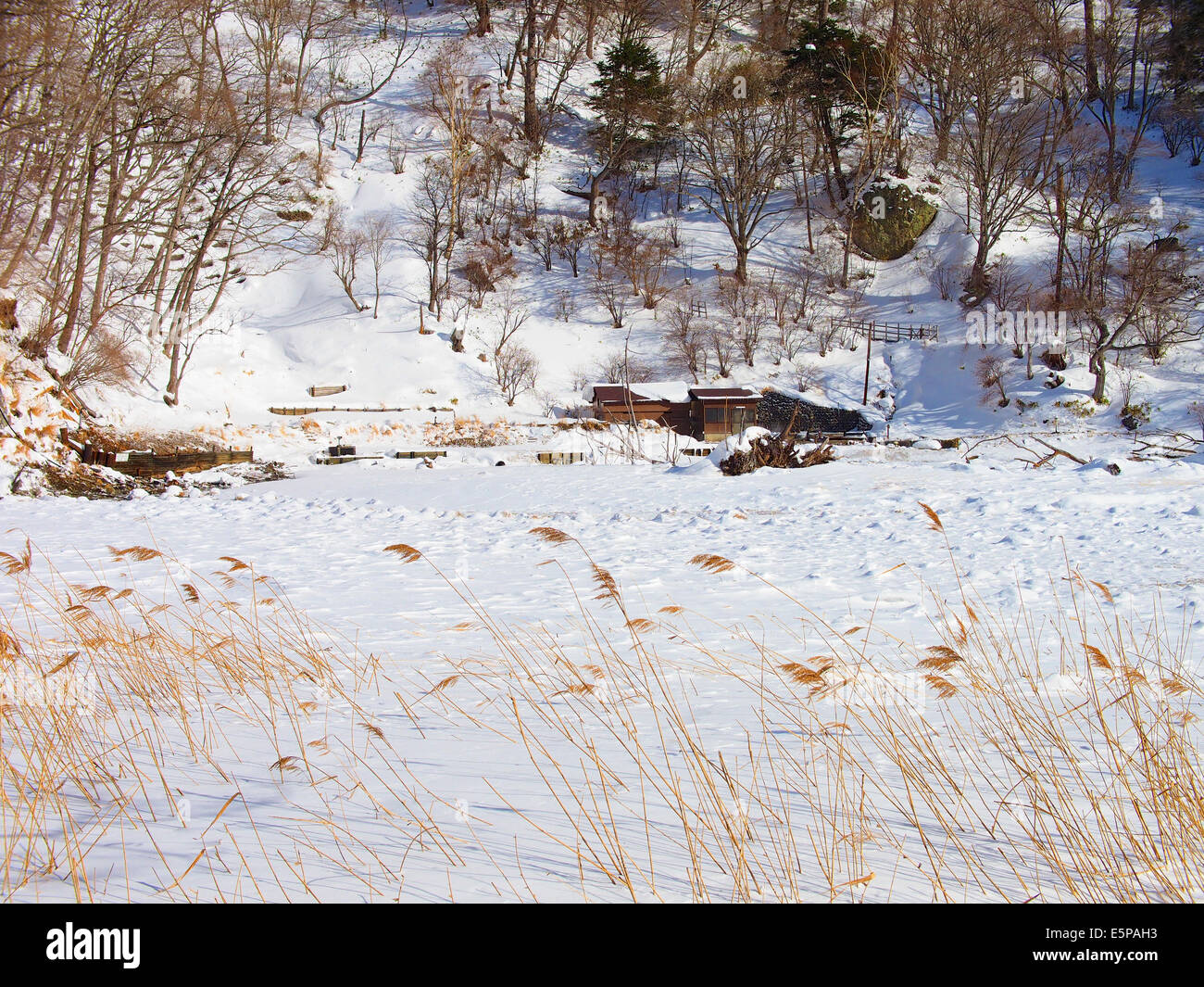 Nikko japan winter hi-res stock photography and images - Alamy