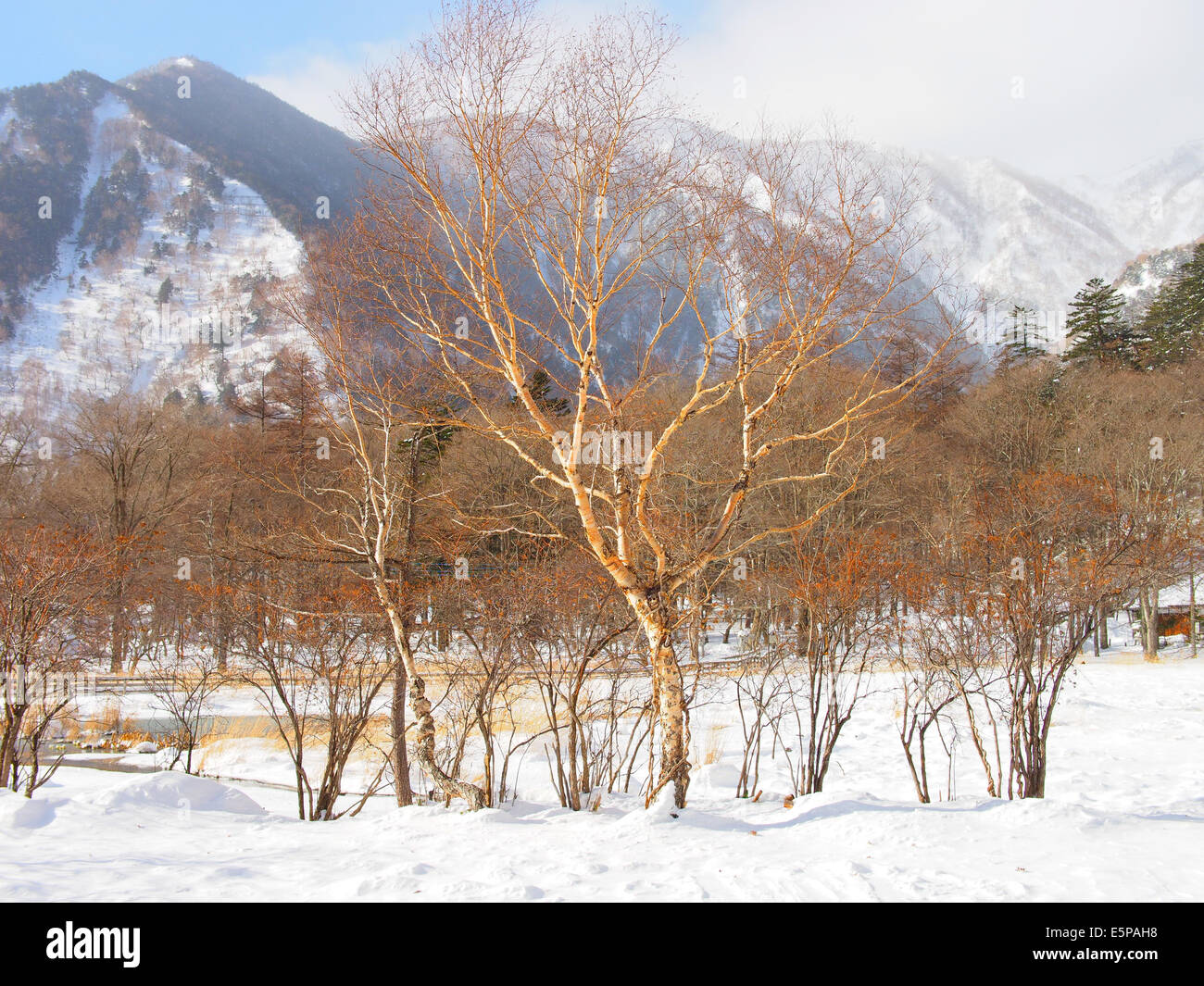 Winter at Yuno Lake, Nikko, Tochigi, Japan Stock Photo - Alamy