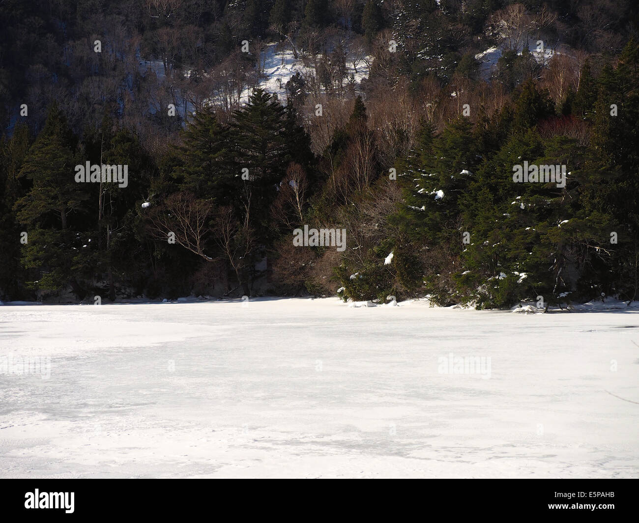Nikko japan winter hi-res stock photography and images - Alamy