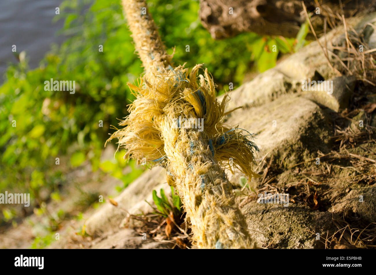 Damaged tire after tire explosion at high speed on highway Stock Photo ...