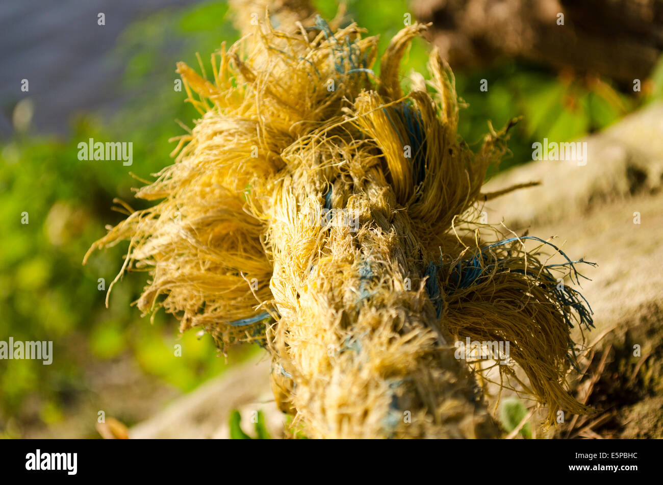 Frayed rope ready break hi-res stock photography and images - Alamy