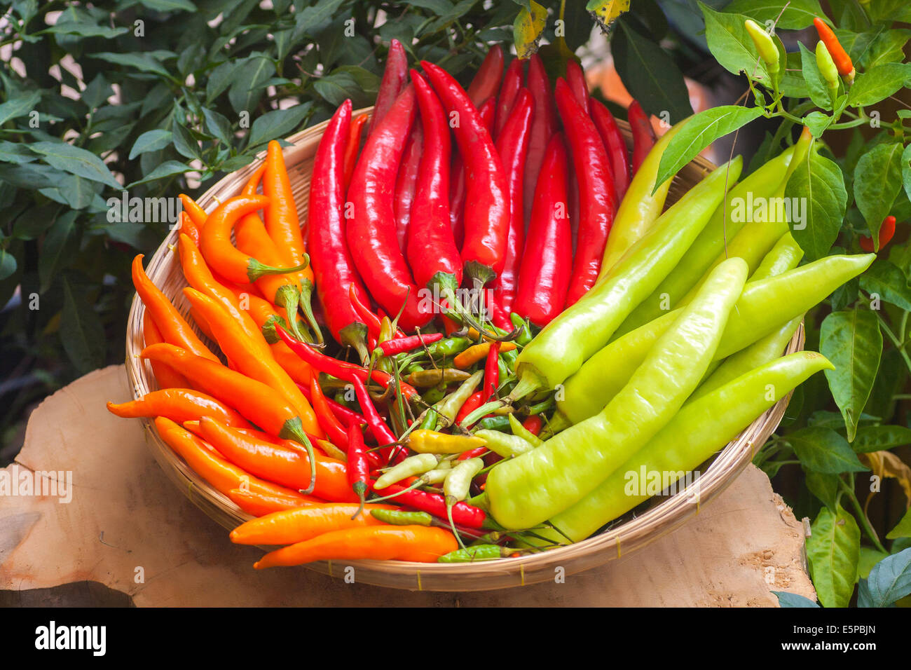 Handful of red hot Thai chili papers on white background Stock Photo ...