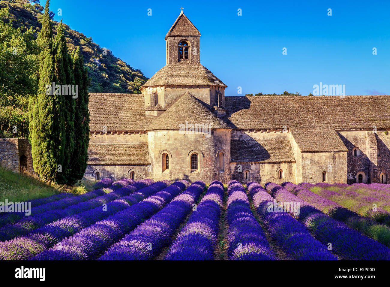 Abbaye notre dame de senanque provence hi-res stock photography and ...