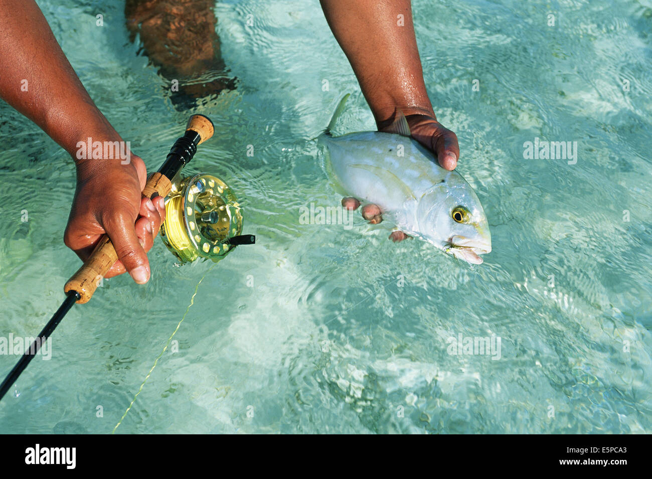 Fisherman with fish caught while fly fishing in Belize Stock Photo - Alamy